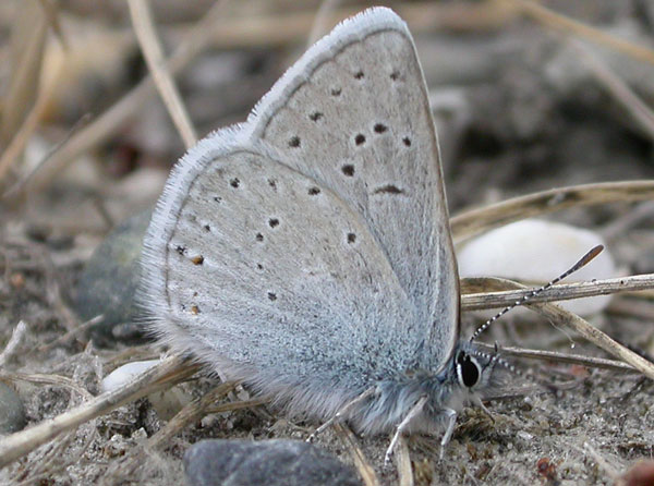 Today's Congressional Action: